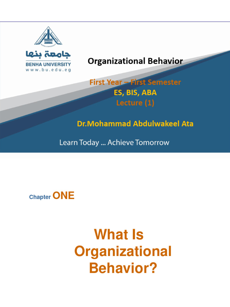 Organizational Behavior: First Year - First Semester Lecture | PDF ...