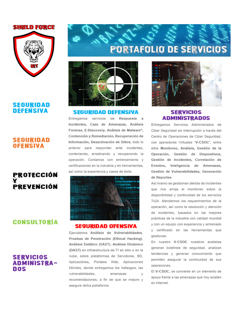 Resumen de Servicios Shield Force | PDF