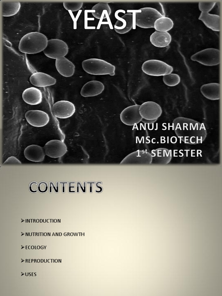 Yeast | PDF | Yeast | Spore
