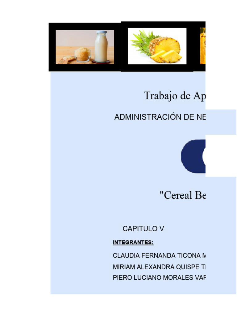 Descripcion de La Inversion 2 | PDF