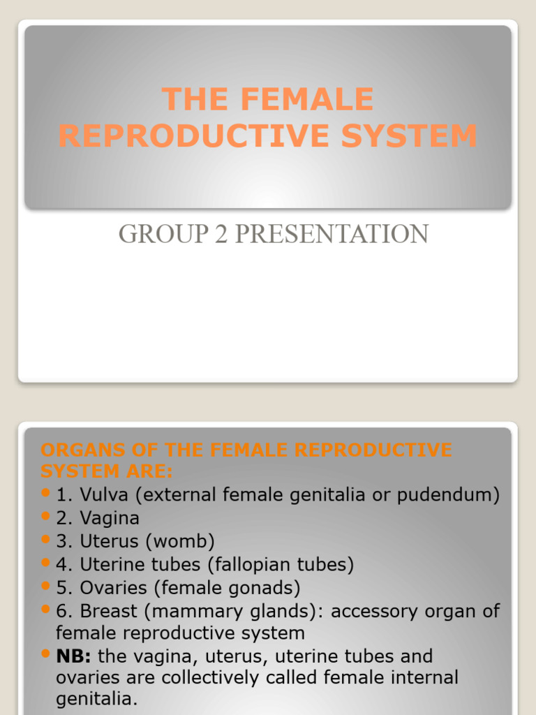 The Female Reproductive System | PDF