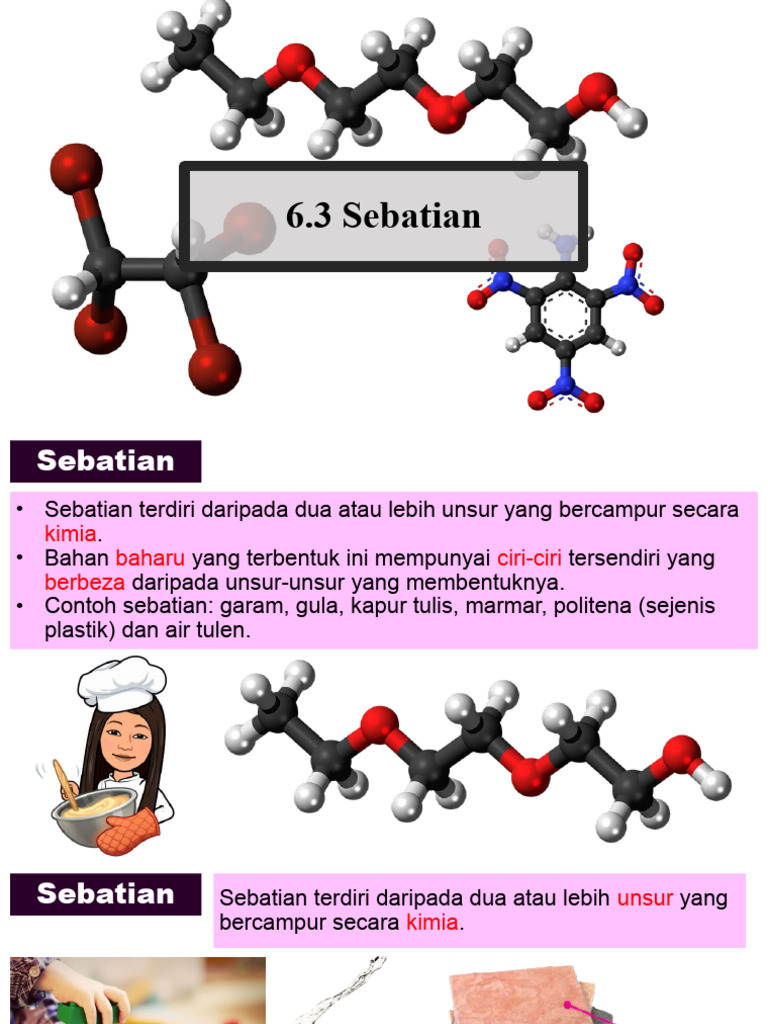 6.3 Sebatian | PDF