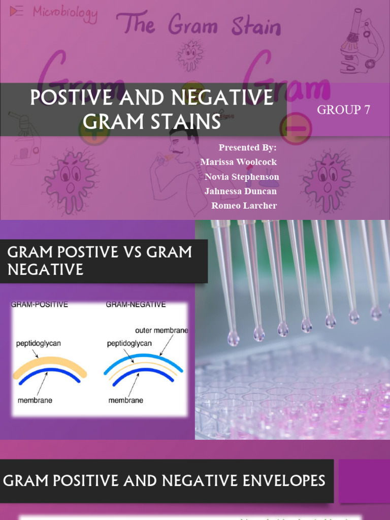 Gram Stain Tutorial v2 | PDF | Gram Positive Bacteria | Laboratory ...
