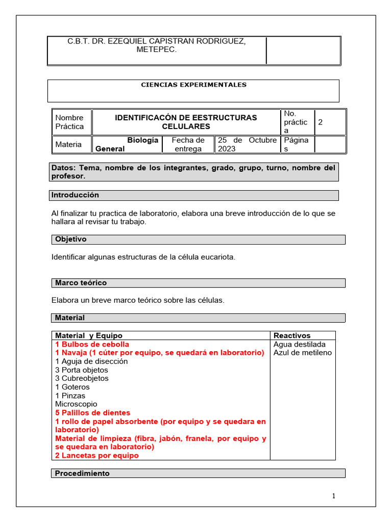 PRACTICA 2. Biolog{ia. Identificación de estructuras celulares_105325 | PDF | Biología Celular ...
