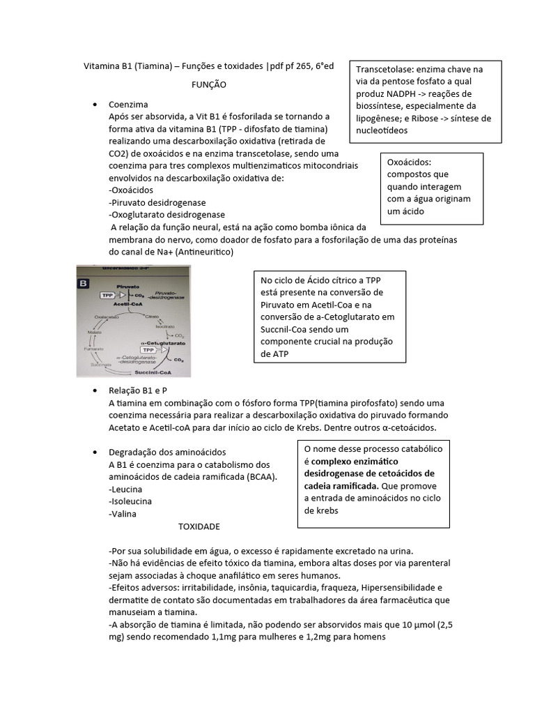 Funções e Toxicidade da Vitamina B1 | PDF | Dieta e Nutrição | Química