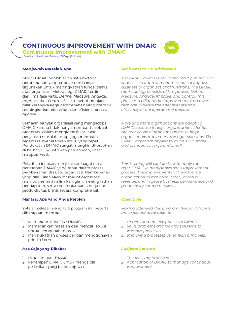 Continuous Improvement With Dmaic (New) | PDF