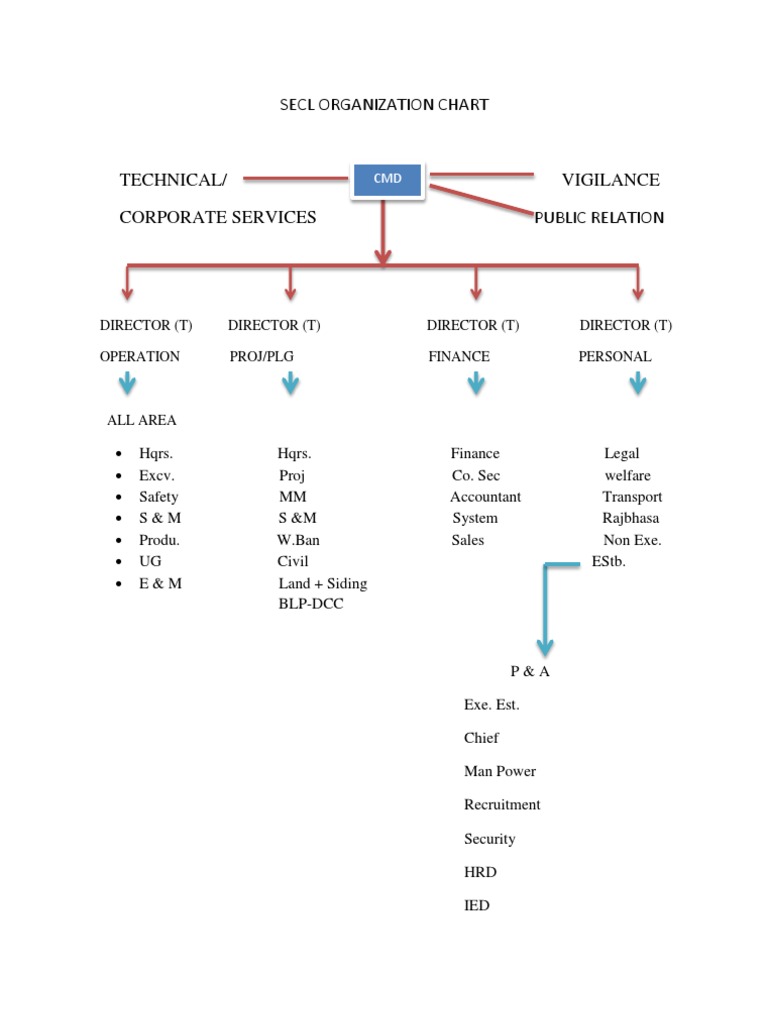 SECL Ion Chart | PDF | Business | Science & Mathematics