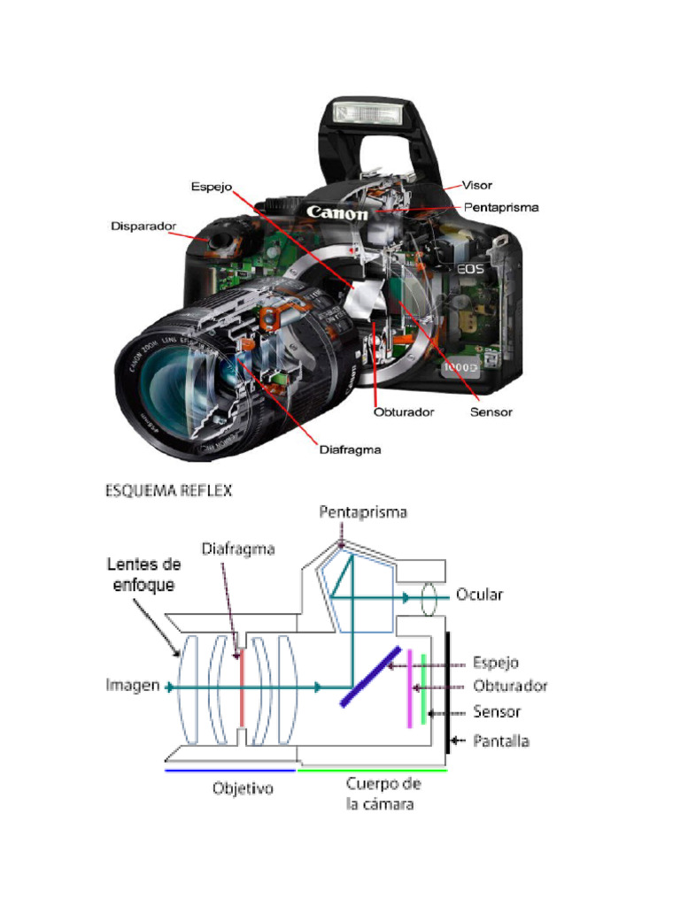 Partes de La Camara | PDF