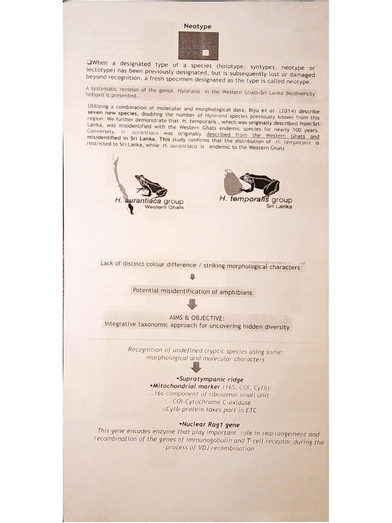 Type Concept Taxonomy Pdf