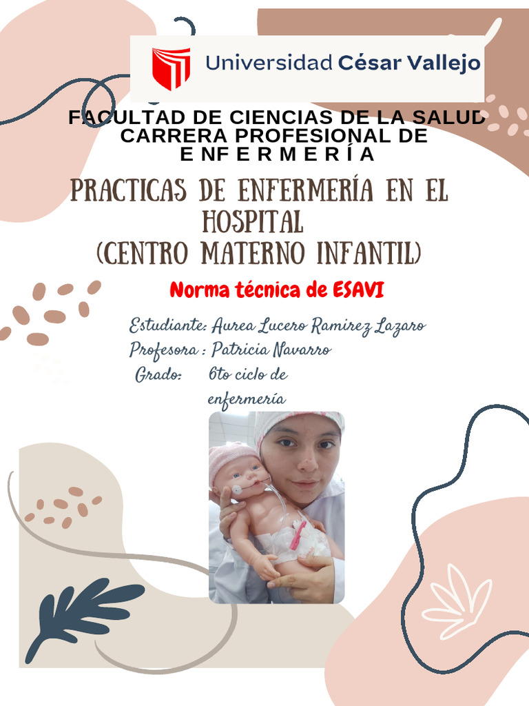 Norma Técnica de ESAVI | PDF