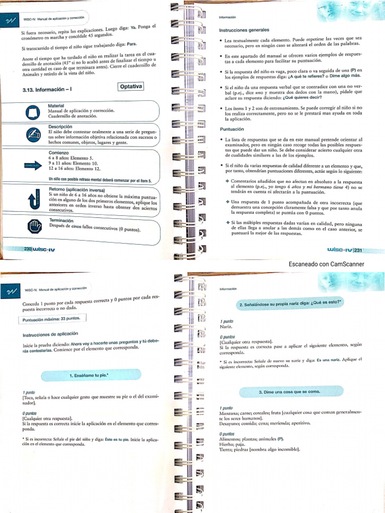 Manual Wisc Iv | PDF