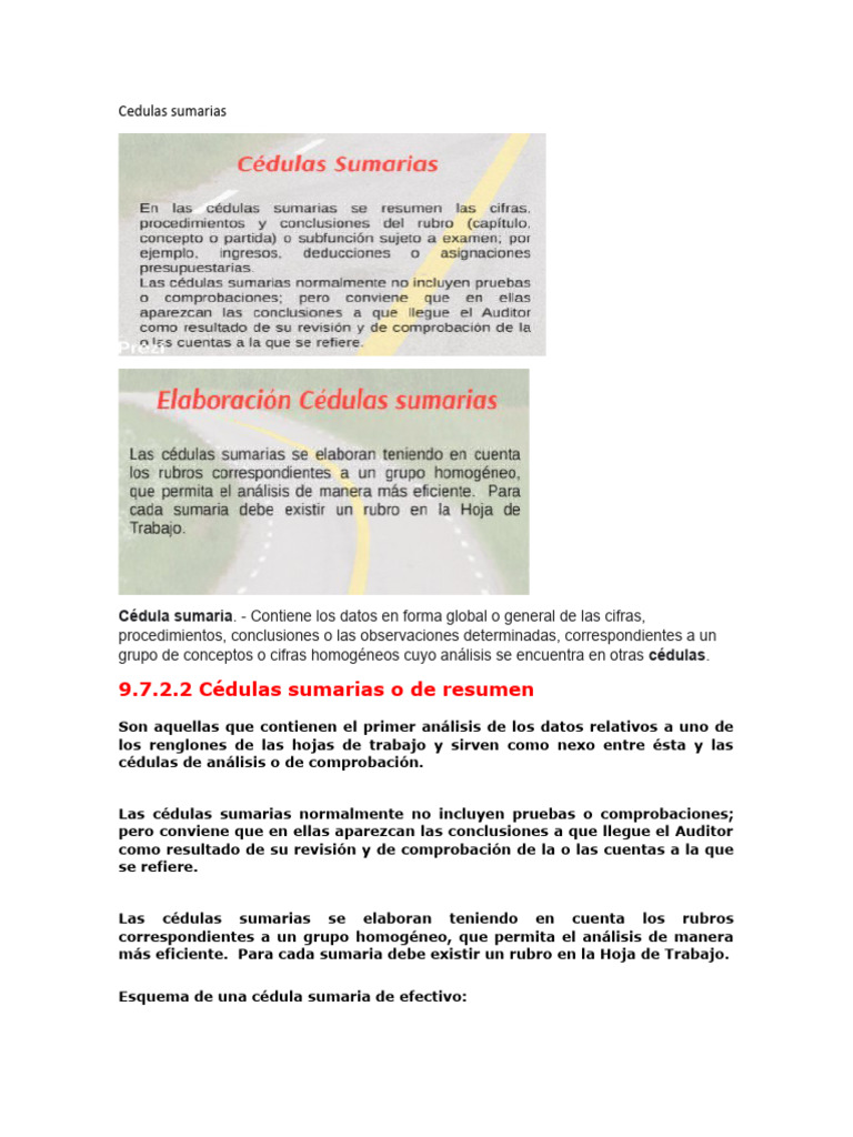 Cedulas Sumarias | PDF