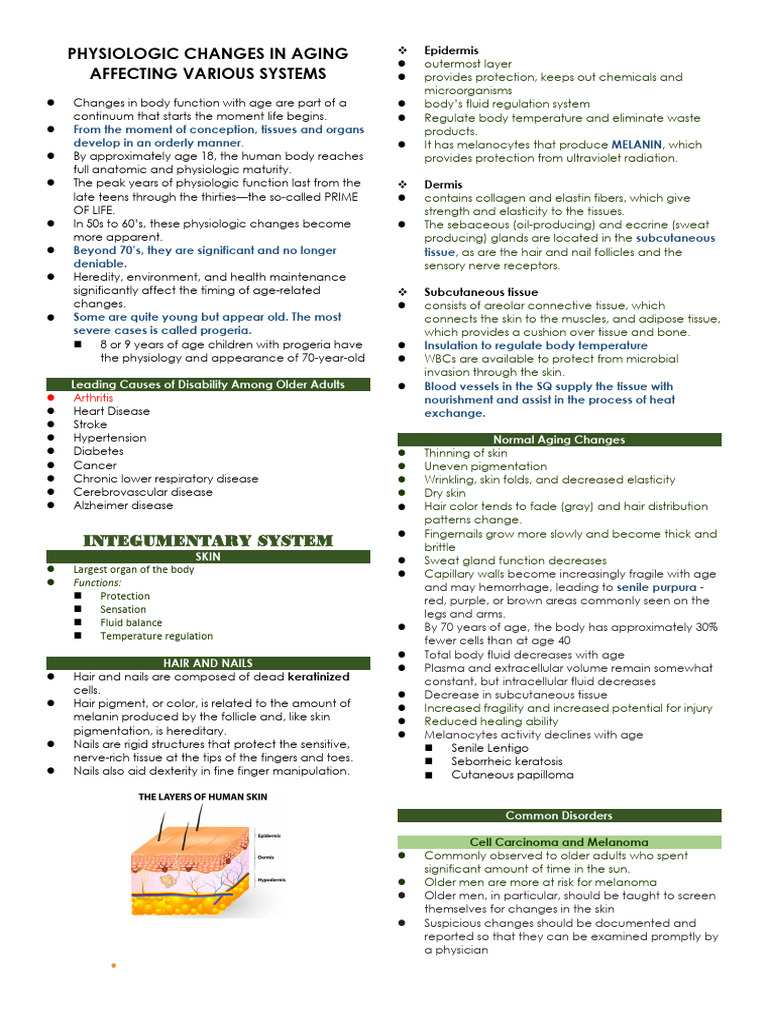 Physiologic Changes in Aging Affecting Various Sys | PDF | Bone | Osteoporosis