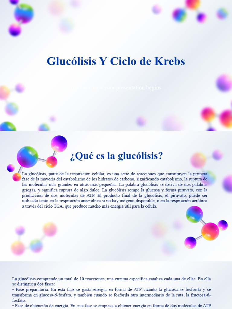 Glucólisis Y Ciclo de Krebs | PDF