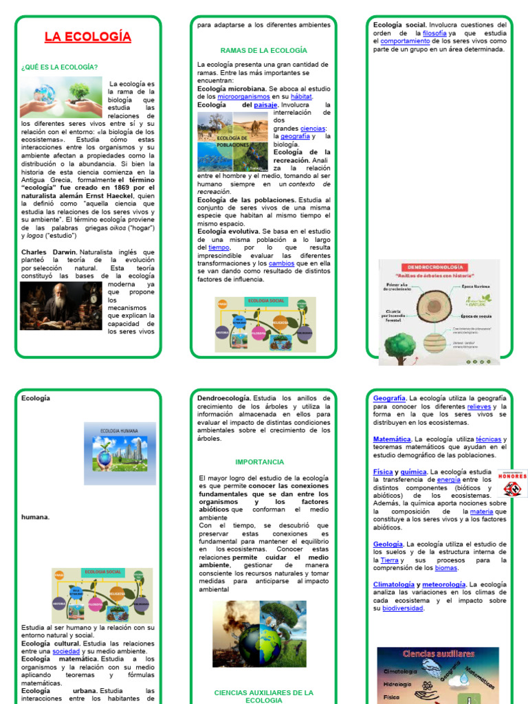 Triptico Ecología | PDF | Ecología | Entorno natural Triptico Ecología | PDF | Ecología | Entorno natural