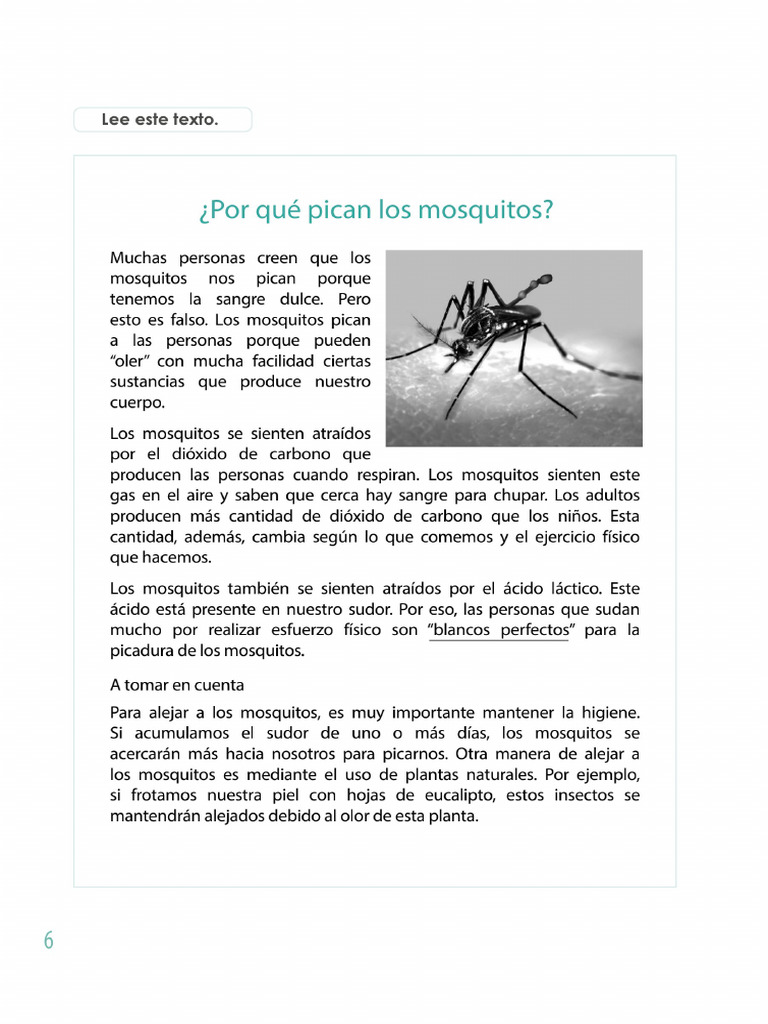 Cuadernillo Modelo de Lectura 4p | PDF