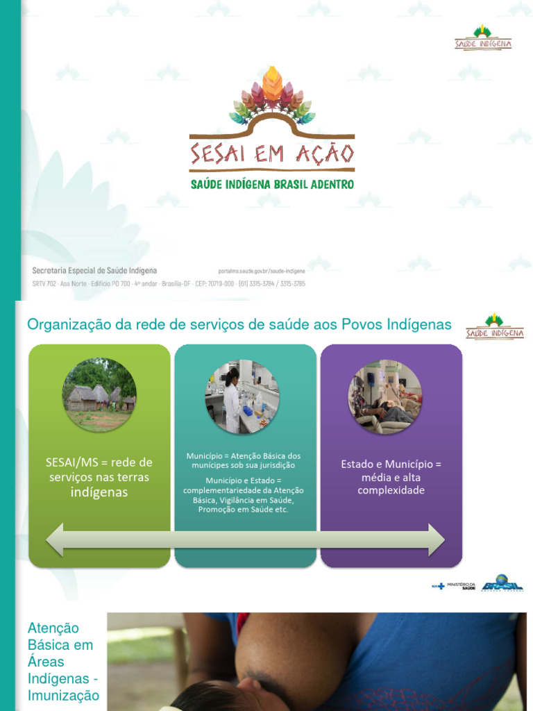 Apresenta o Programa Sesai em A o Semin Rio Sa de | PDF