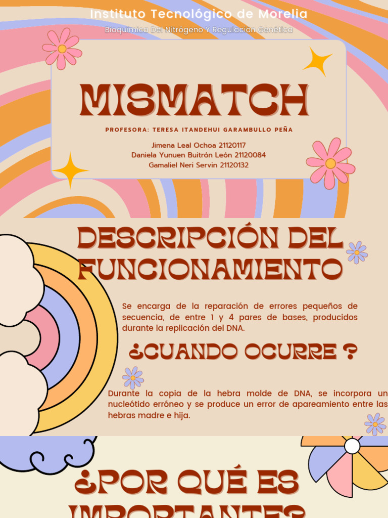 Mismatch | PDF