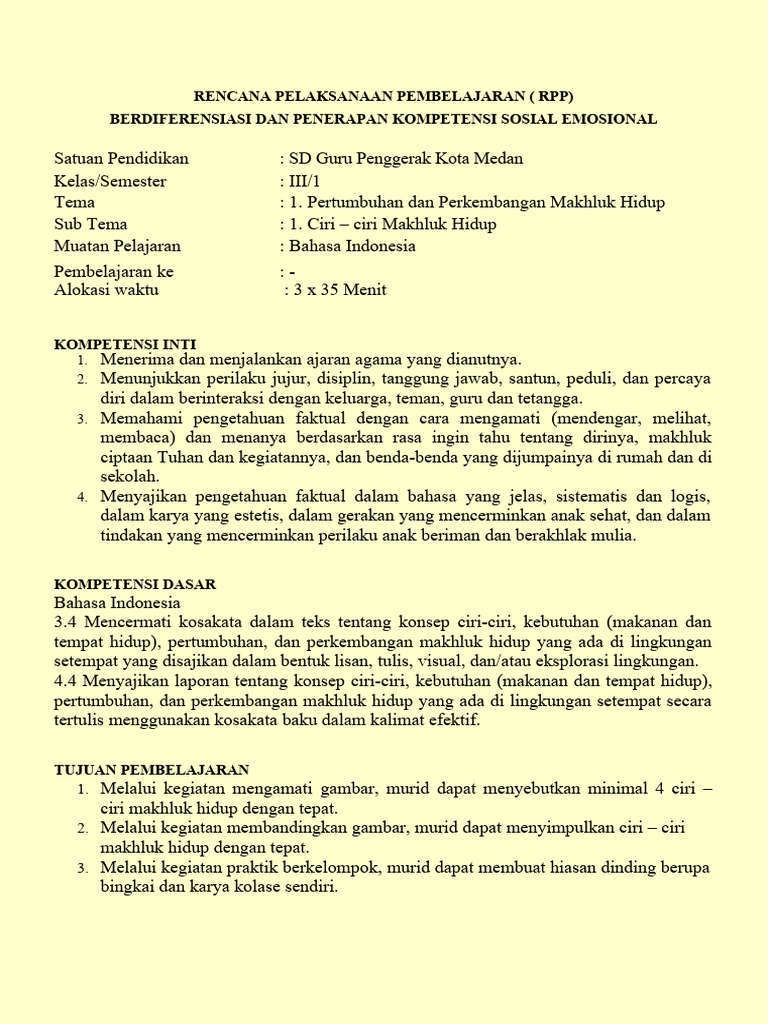 RPP Berdiferensiasi | PDF