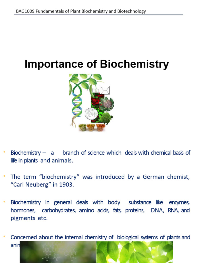 Introduction To Plant Biochemsitrypptx | PDF | Metabolism | Biochemistry