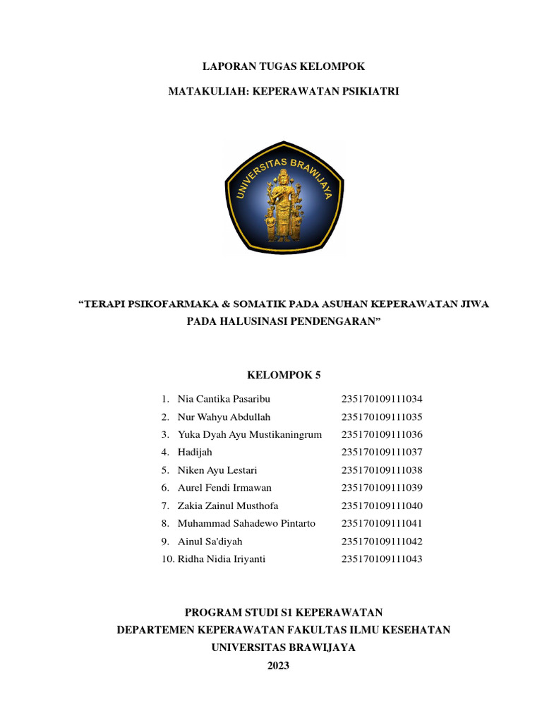 TM10 - Halusinasi Pendengaran - Kel V | PDF