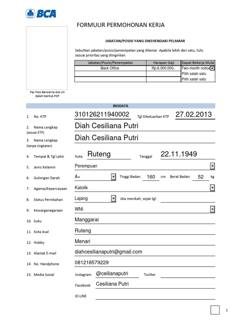 Formulir Permohonan Kerja (Fillable Form) | PDF