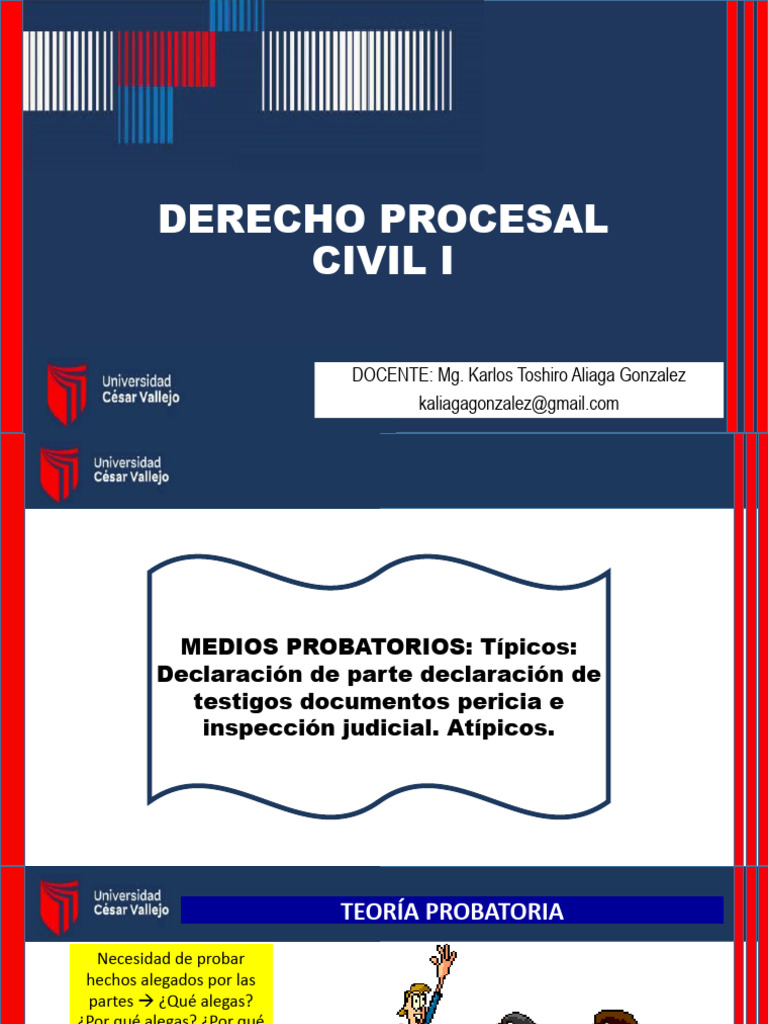 Clase 3 Medios Probatorios | PDF
