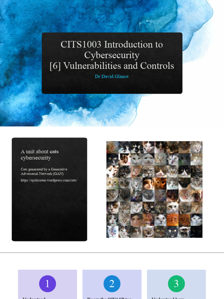 CITS1003 6 Vulnerabilities | PDF | Vulnerability (Computing) | Malware