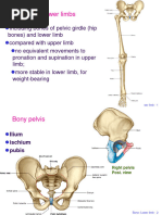 Goniometry of Hip | PDF