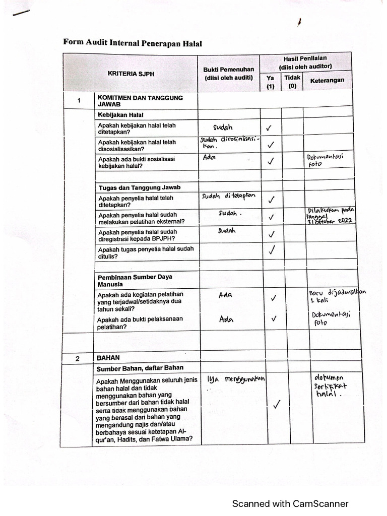 Scan Hasil Audit Internal | PDF