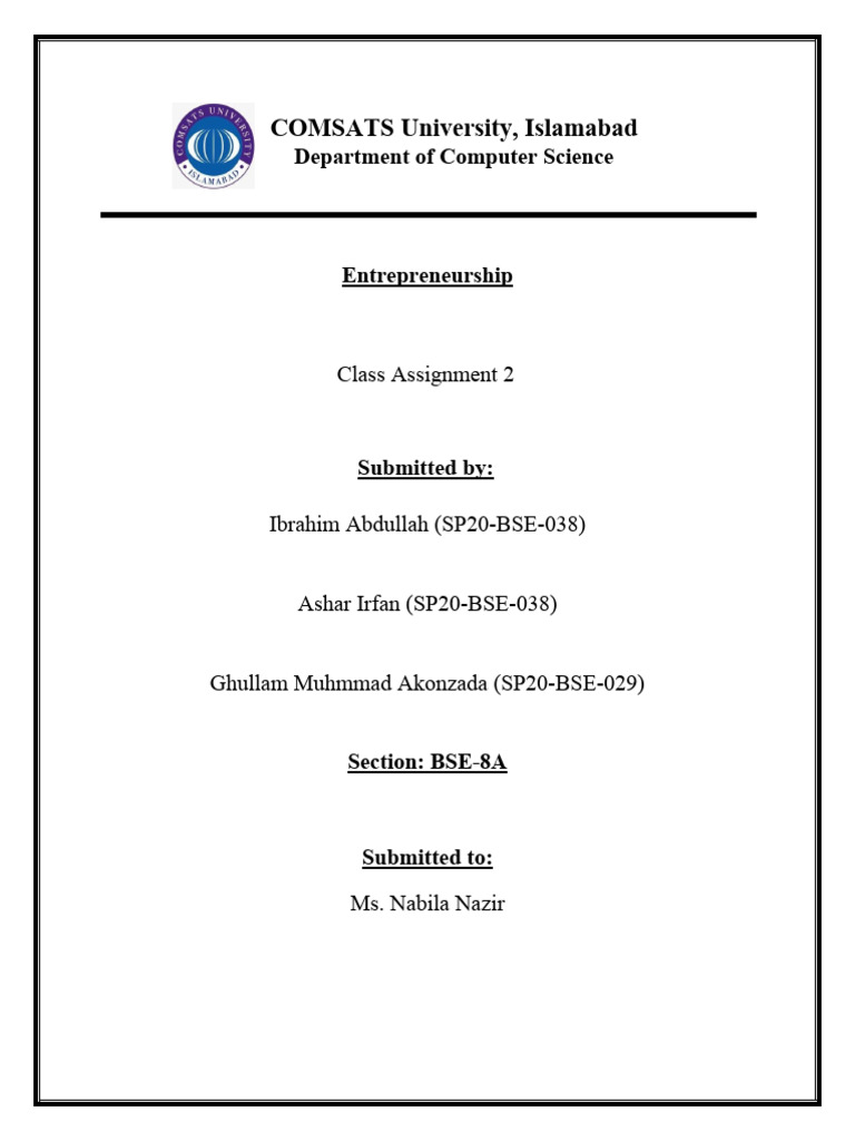 Entrepreneurship Assignment 2 | PDF | Startup Company | Small Business & Entrepreneurs