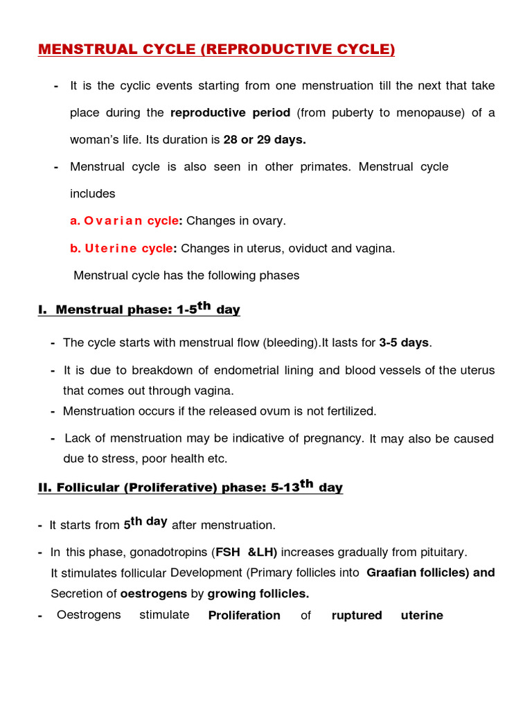 Menstrual Cycle (Ncert Based) | Download Free PDF | Menstrual Cycle ...