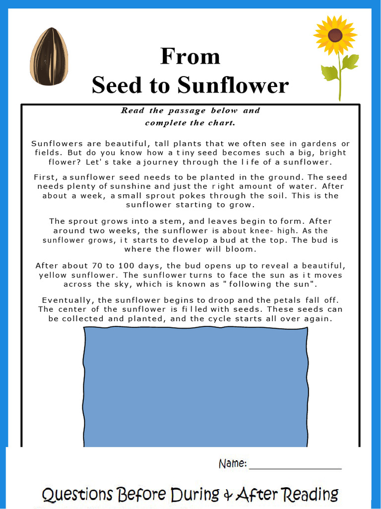 Grade 3 Reading Comprehension Worksheet 3 | PDF