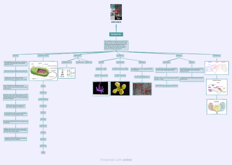 Pengertian dan Ciri Archaea | PDF