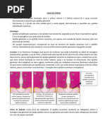 Ectopia Cervical: Definição e Tratamento | PDF | Câncer cervical ...