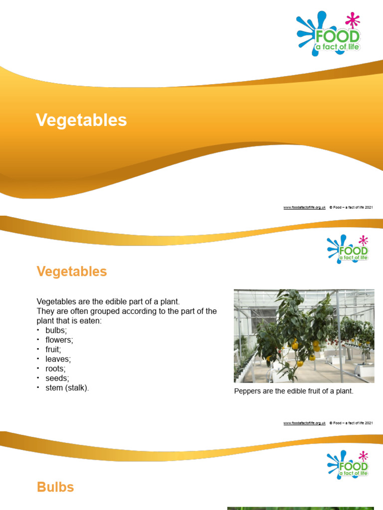 Vegetables PPT 1114fc | PDF | Vegetables | Foods
