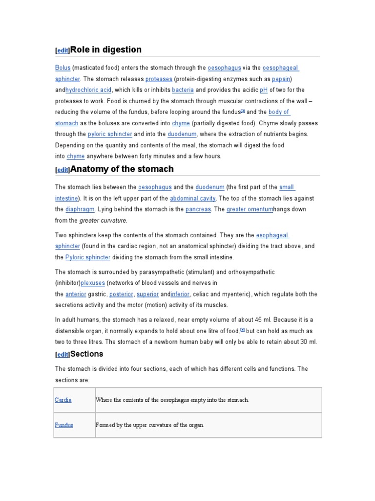 Edit | PDF | Stomach | Digestive System