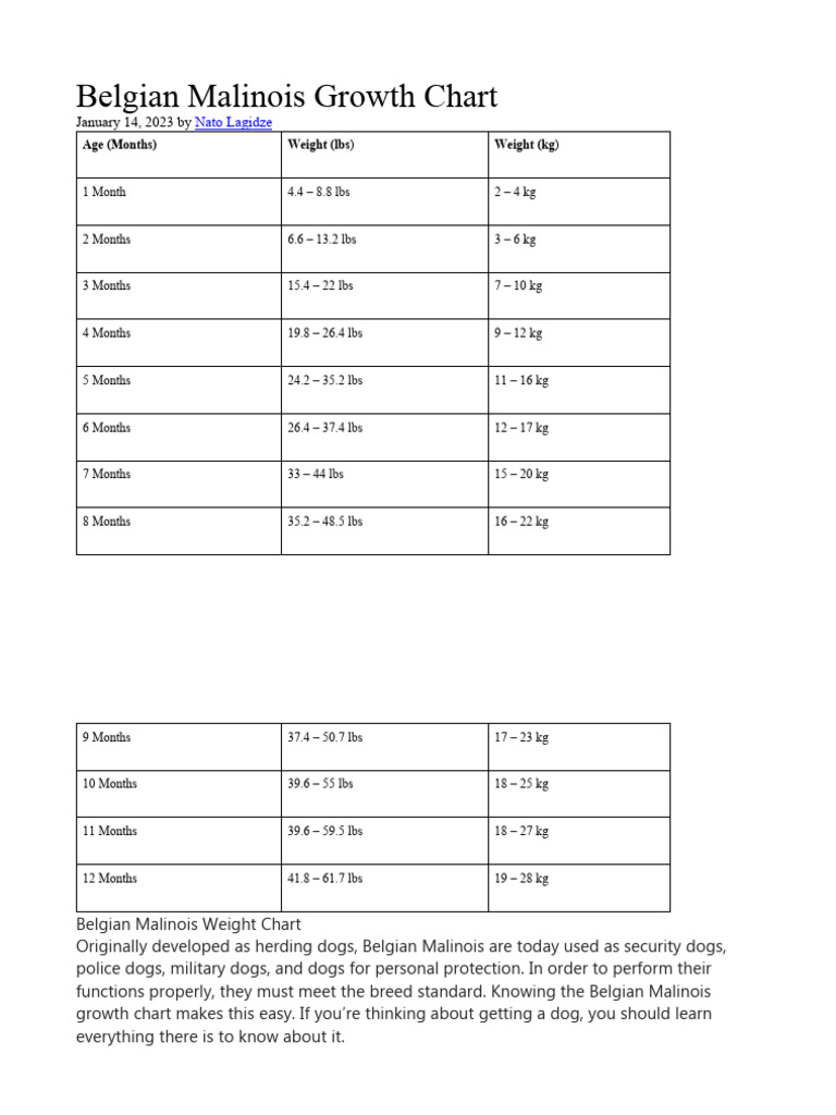 Belgian Malinois Growth and Weight Chart | PDF | Cooking, Food & Wine ...