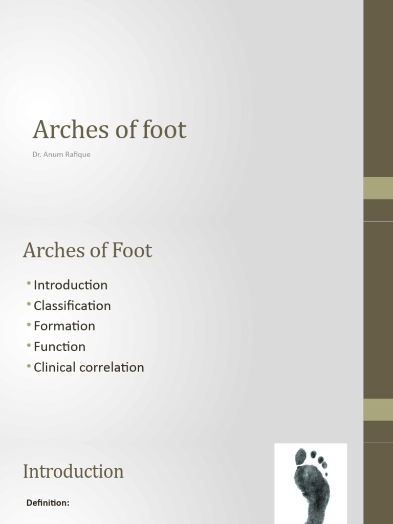 Understanding Foot Arches and Their Functions | PDF