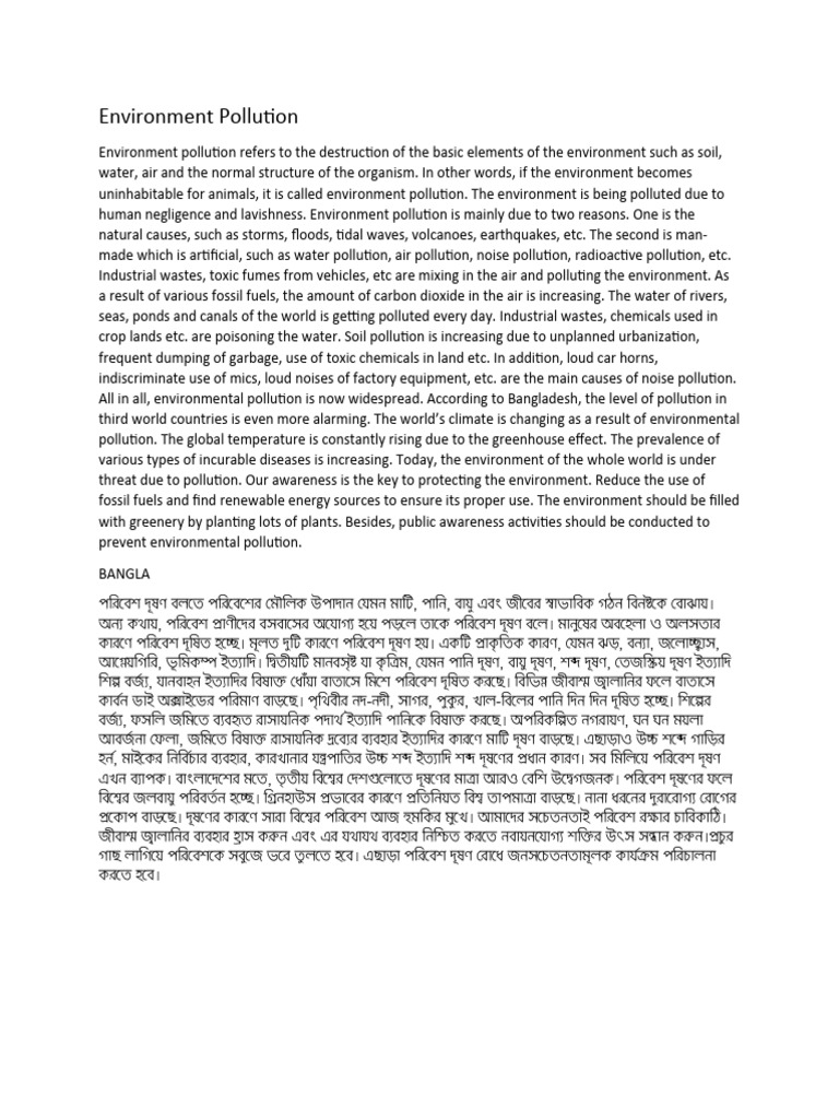 Environment Pollution PARAGRAPH | PDF
