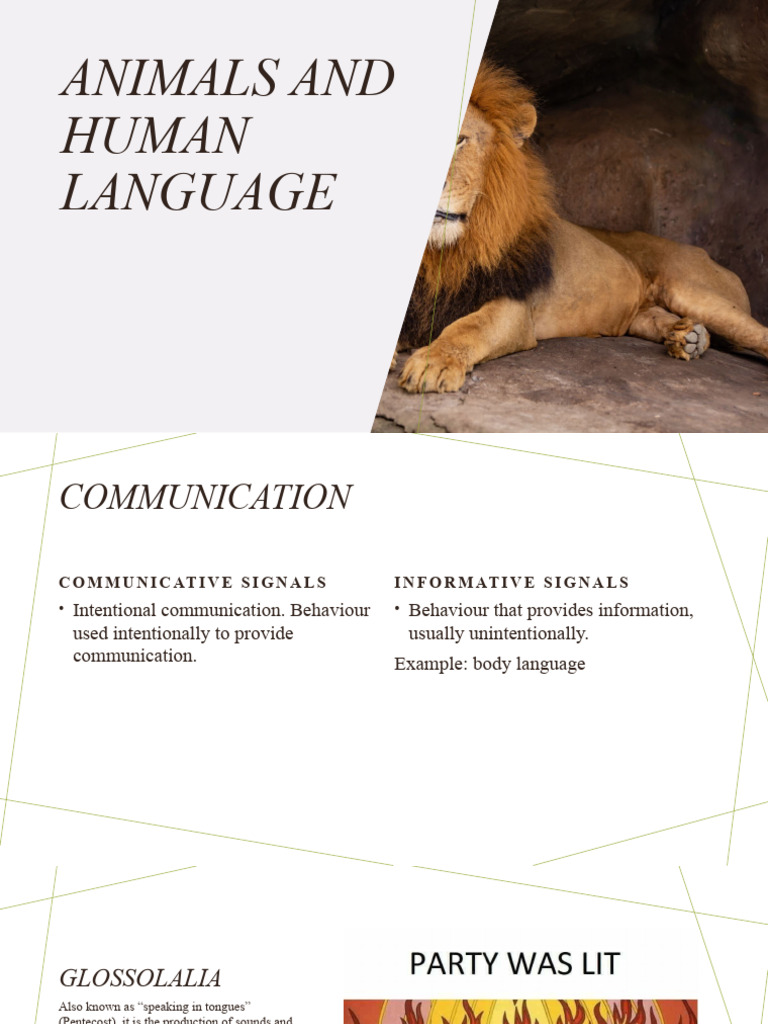 Properties of Human Language | PDF | Communication | Linguistics