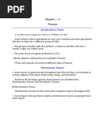 French Revolution Handwritten Notes | PDF | Foreign Language Studies ...