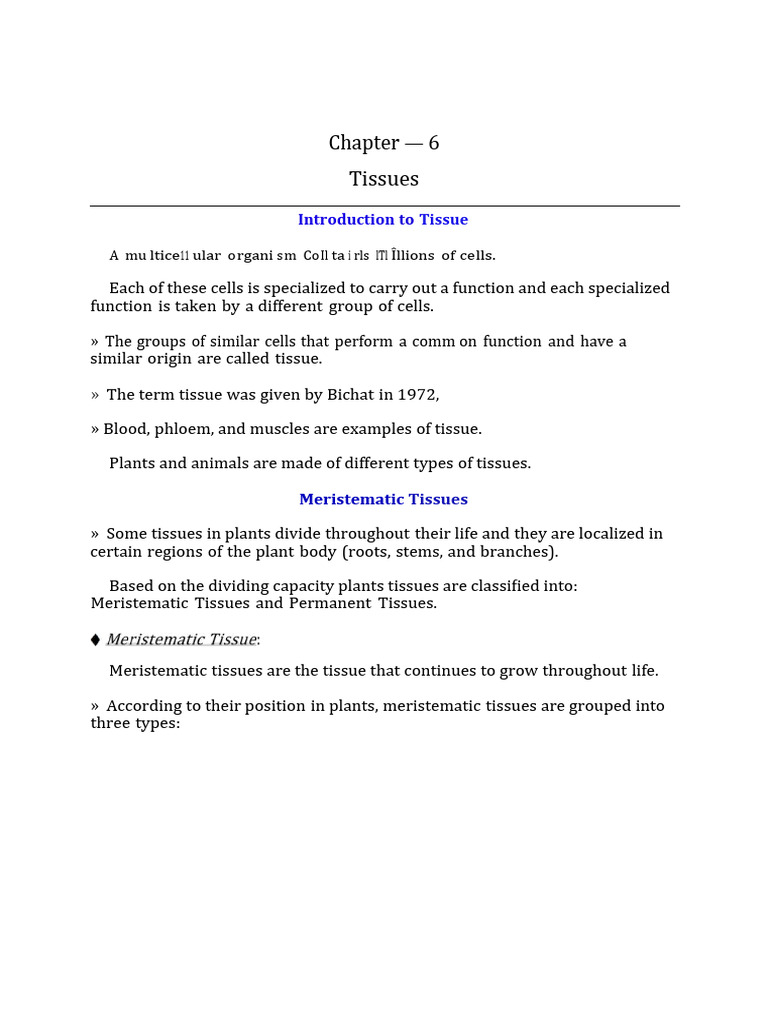 Tissue Notes 9 | PDF | Tissue (Biology) | Epithelium