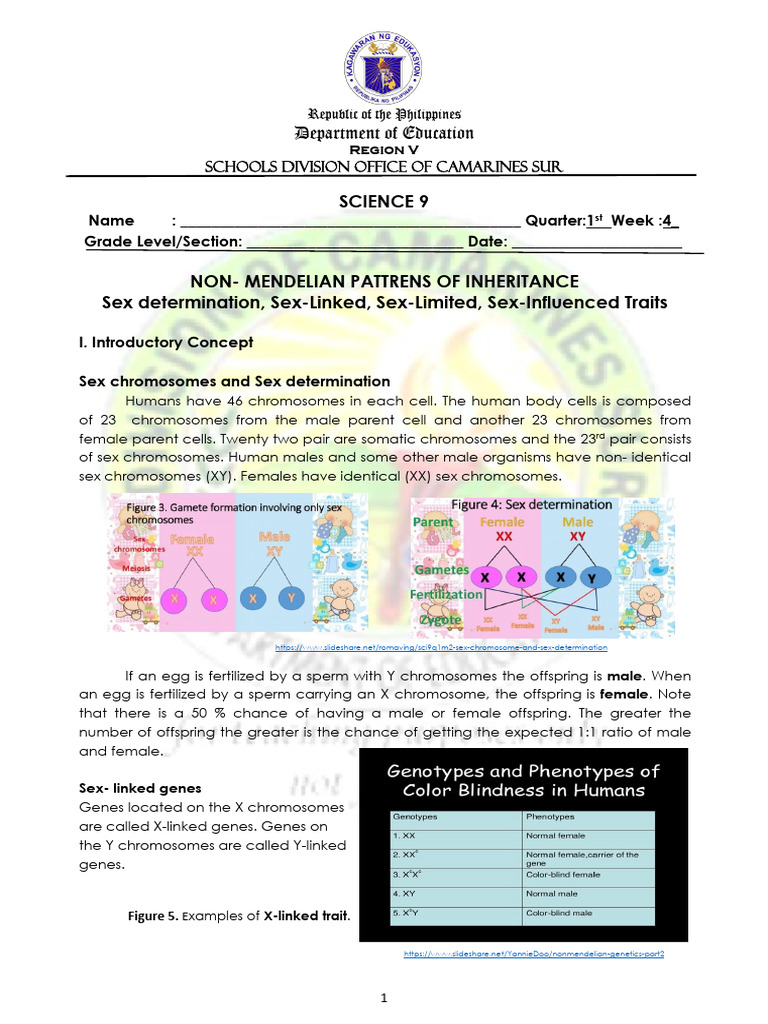 Q1W4 Non Mendelian Patterns of Inheritance2 | PDF | Dominance (Genetics ...