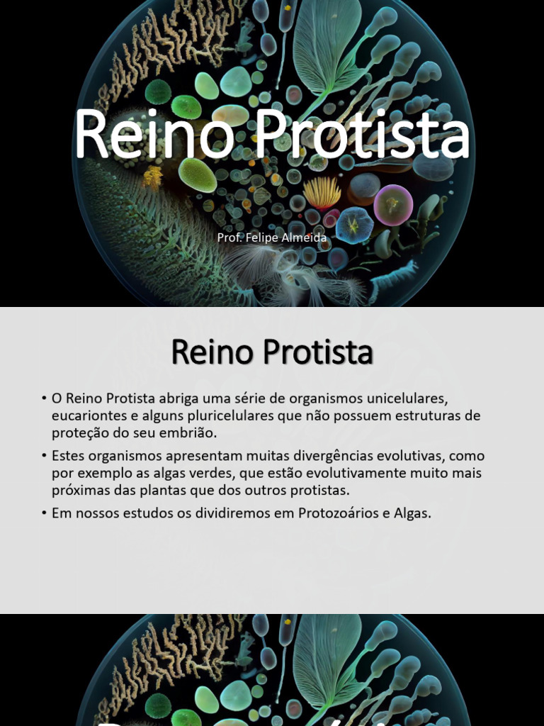 Estrutura e Classificação dos Protozoários | PDF | Casa e Jardim | Bem ...