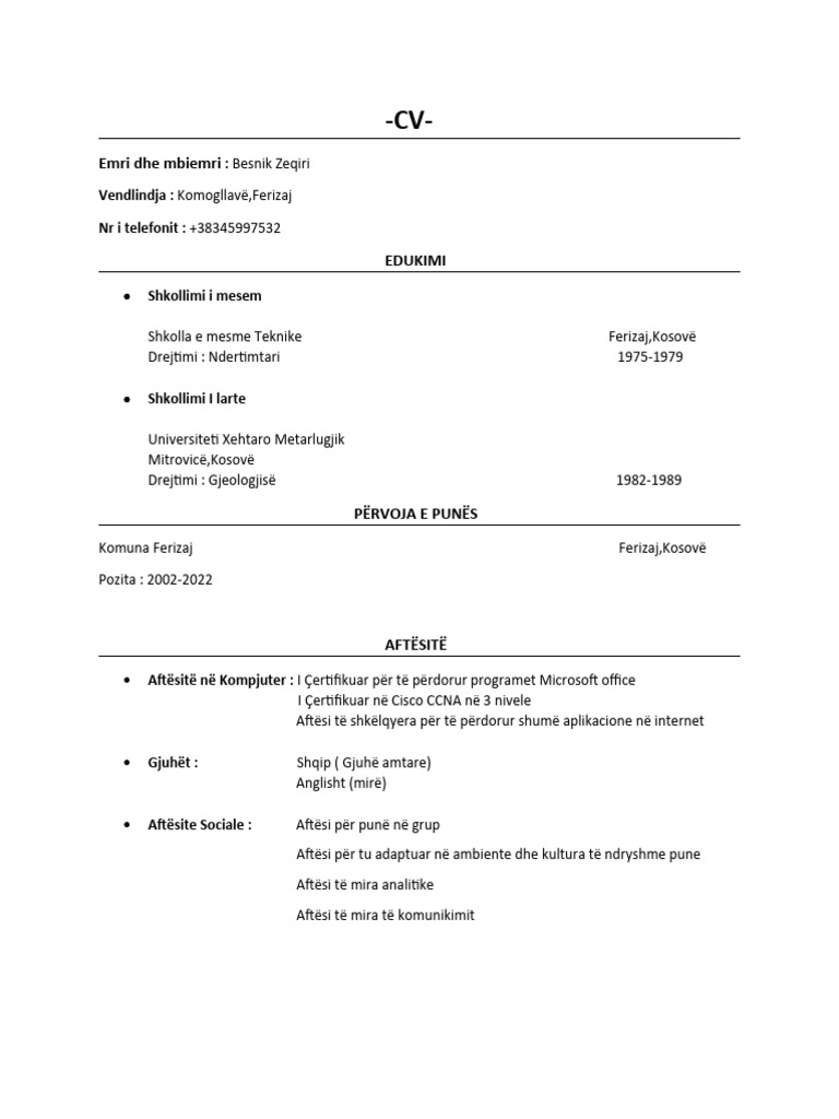 Besnik Zeqiri CV | PDF