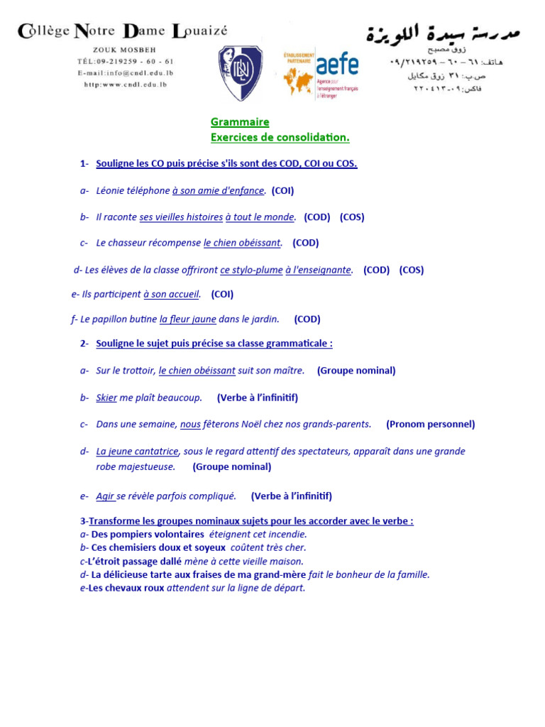 Grammaire-+Exercices+de+consolidation.+Corrigé. | PDF