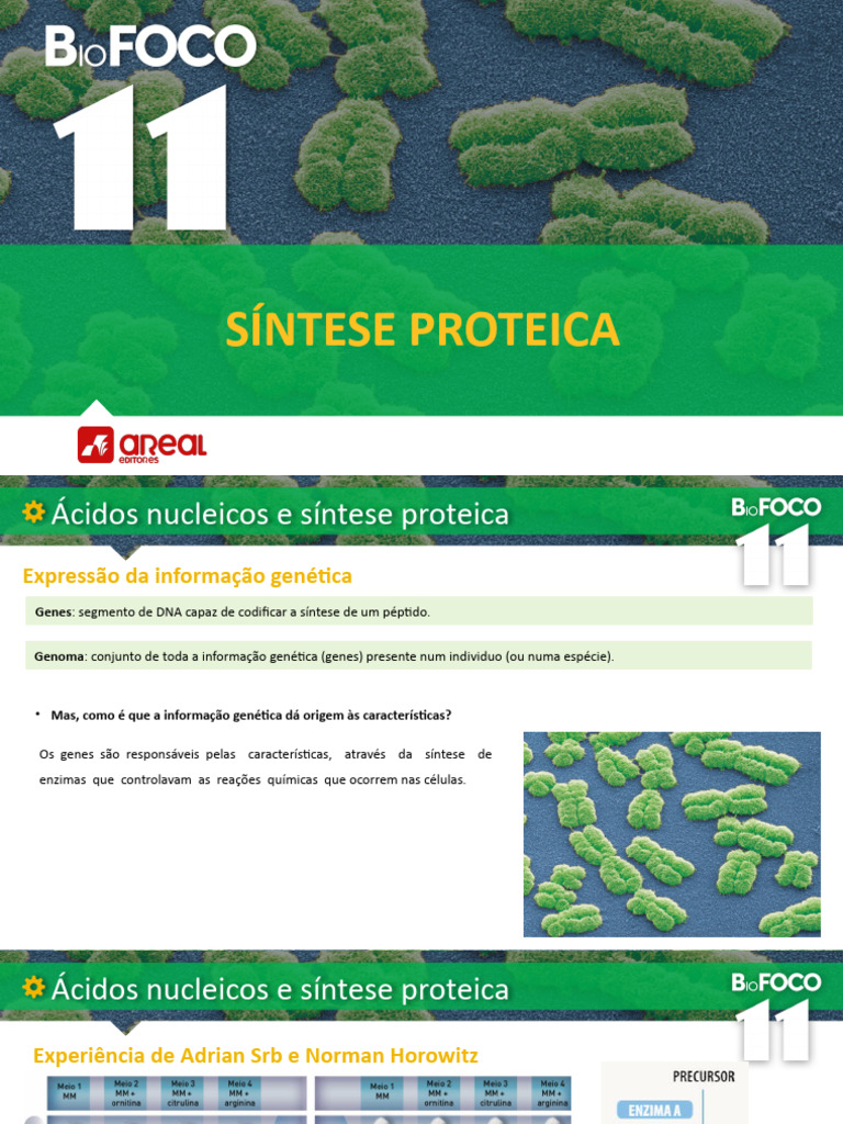 Ae Bf11 Ppt2 | PDF | Macromolecules | Structural Biology