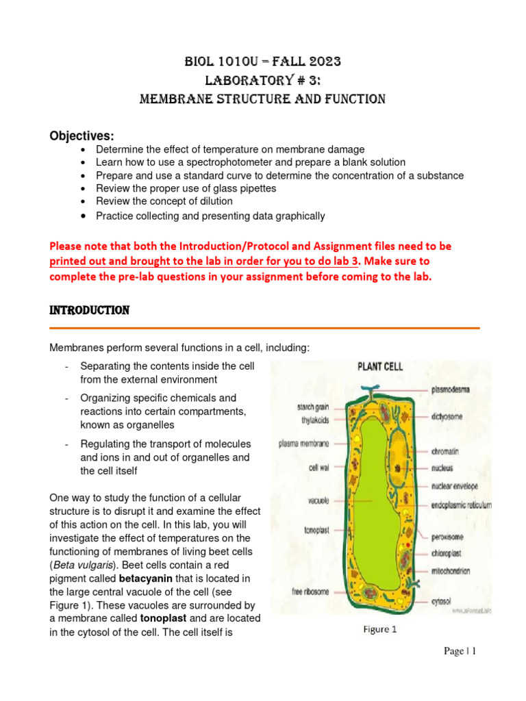 Lab 3 - Introduction and Protocol - Membranes. - F2023 | PDF