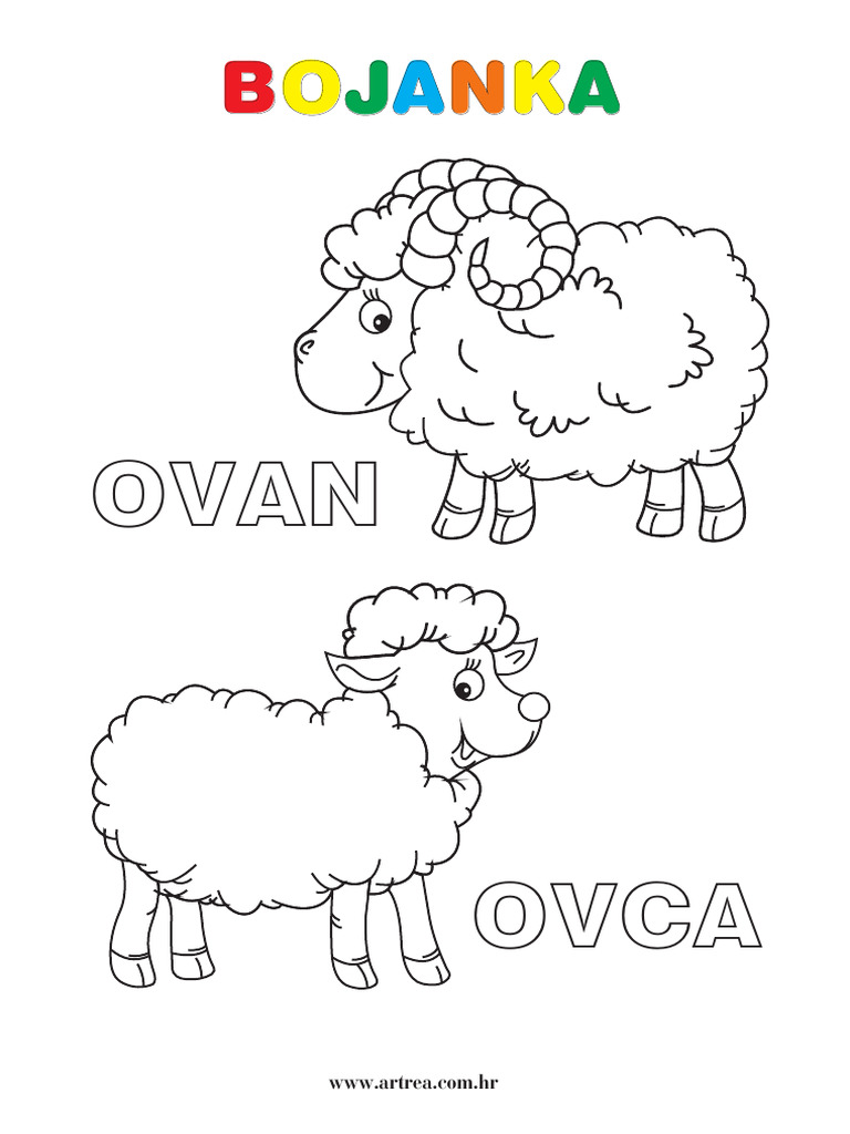 Ovca Pdf